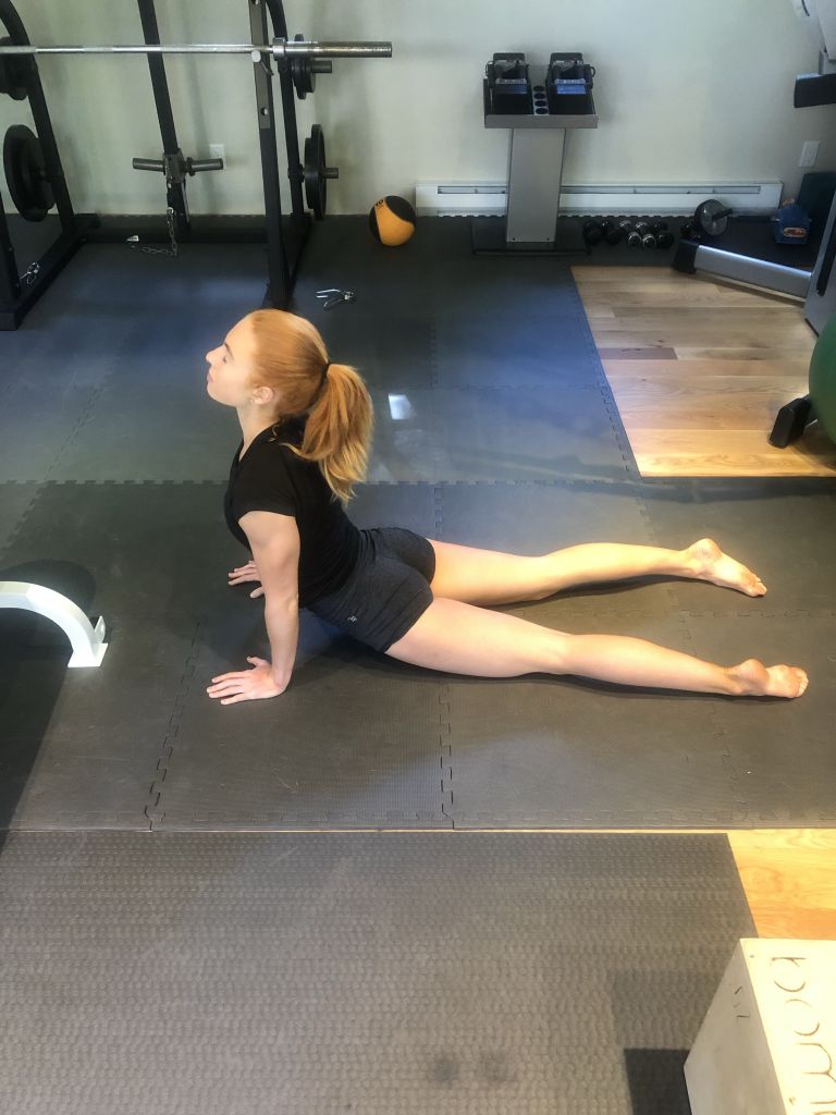 Equestrian Marketing Services | Equine Marketing Firm | Athletux | 5 ...